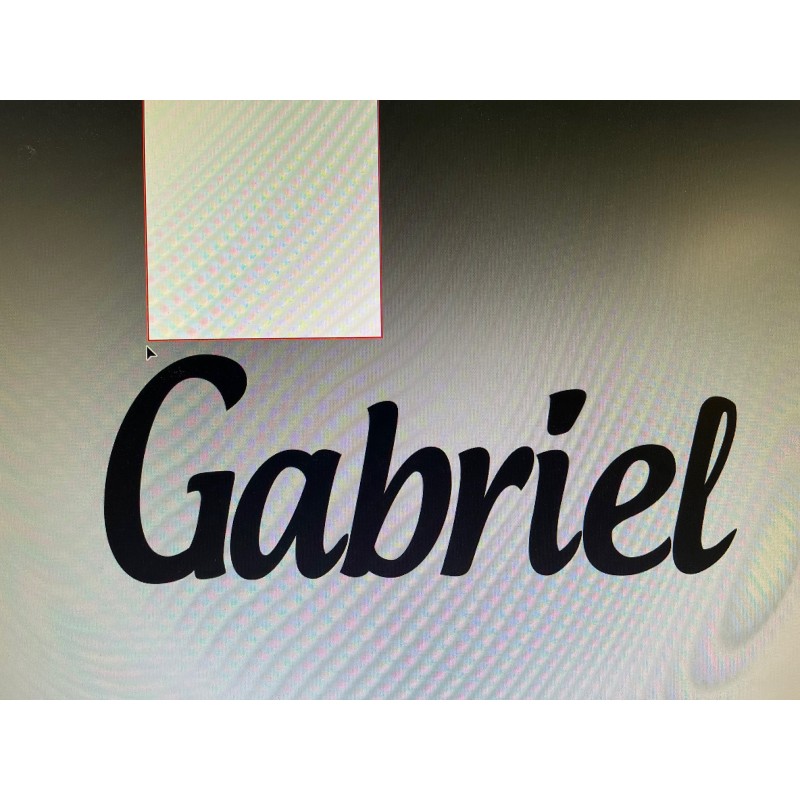 Gabriel